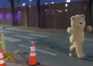 teddy bear move over