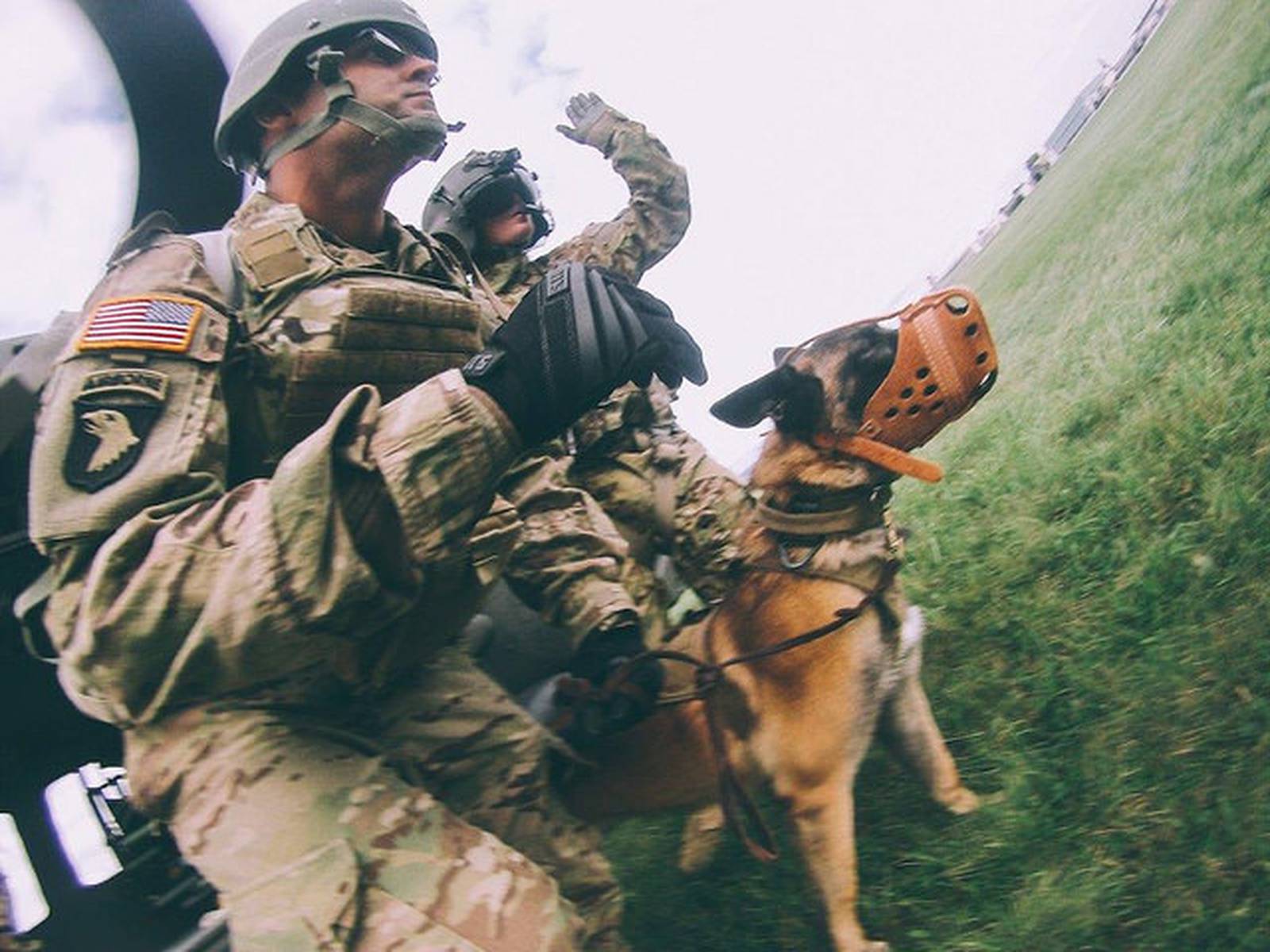 Frontline Photos: Nov. 29, 2017