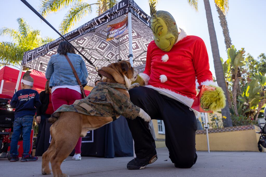 Air rifle test compares the power, pellet velocity & accuracy of 5 new guns