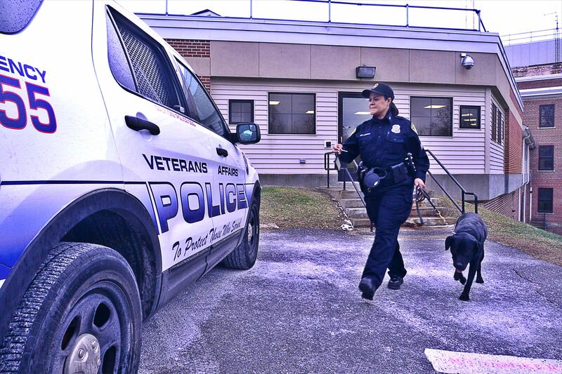 Veterans Affairs police would be required to use body cameras under new ...