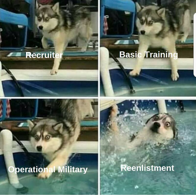 Meme Monday (Possible draft)?