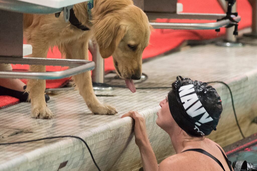 VA program to provide service dogs for some veterans with mental health ...