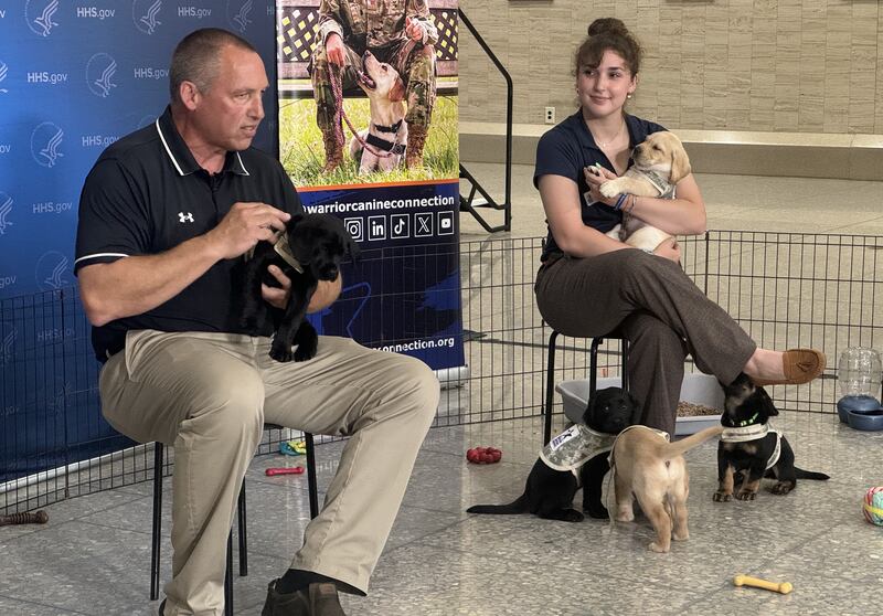 Paws with a cause: Puppies train to help veterans manage mental health