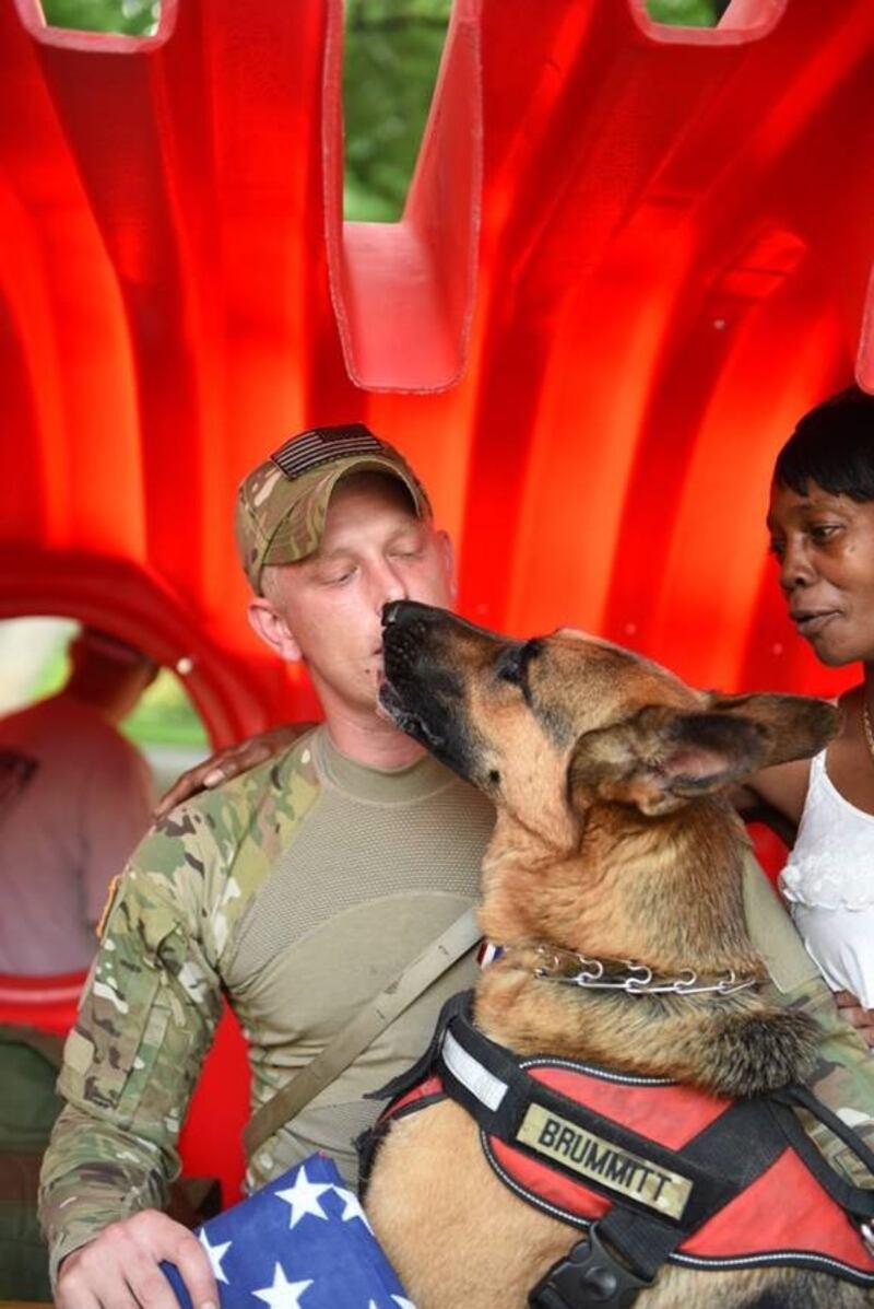 Caring for military working dogs after they finish their service
