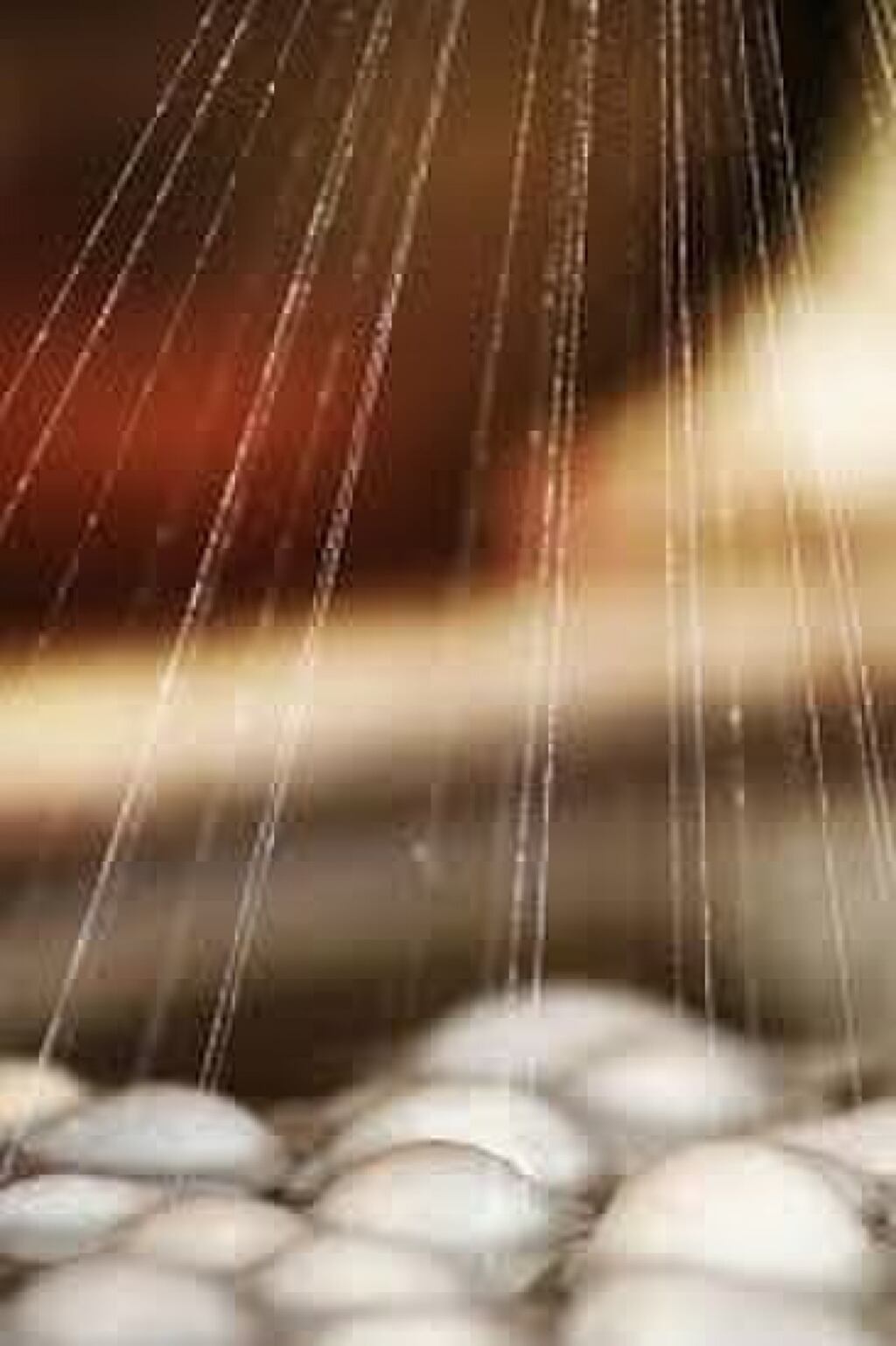 How spiders are helping design tomorrow’s combat body armor