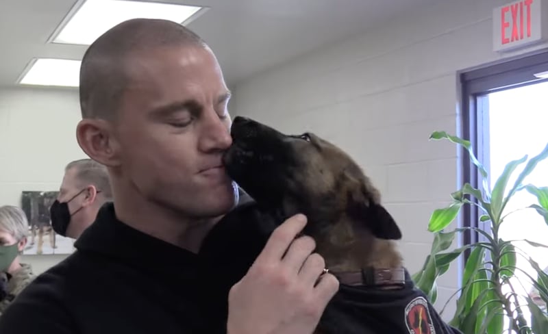 Channing Tatum visits military dogs on Army Ranger movie tour