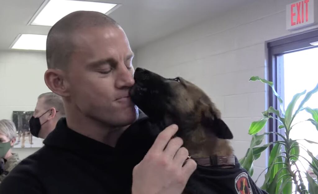Channing Tatum visits military dogs on Army Ranger movie tour
