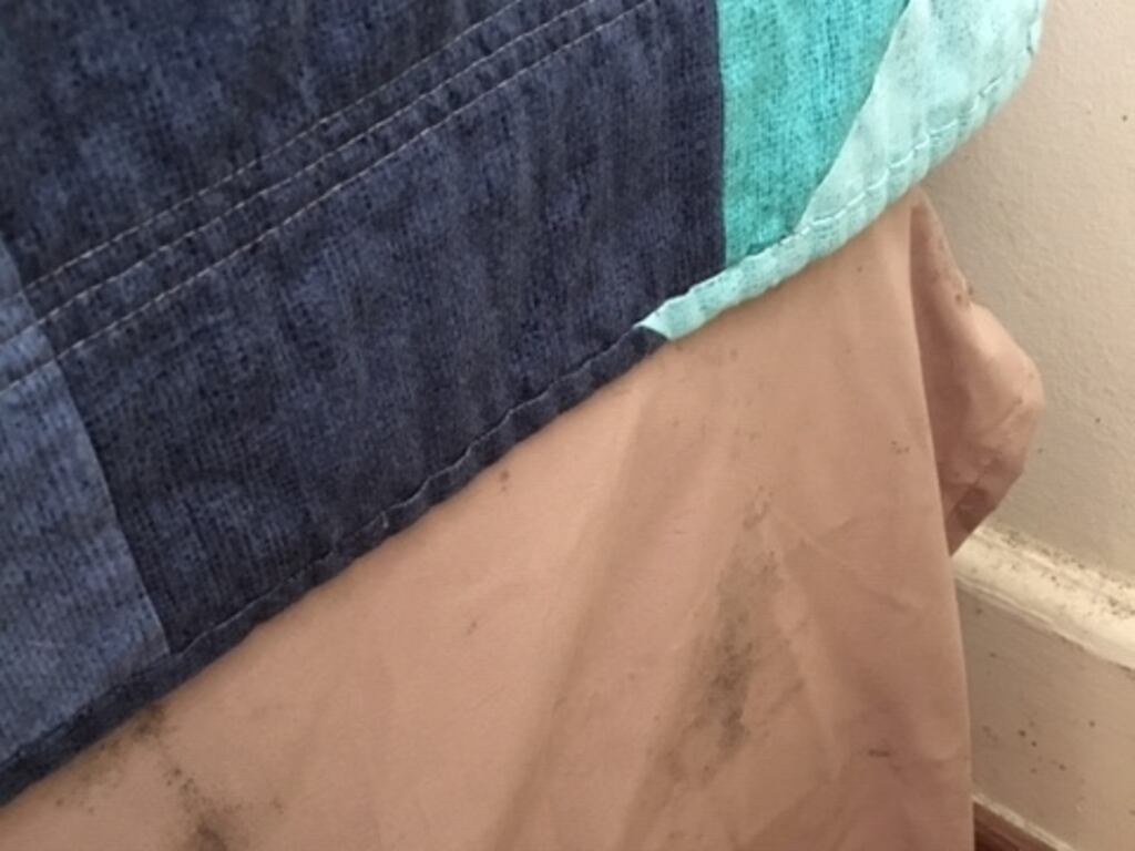 Mold problems adding to military moving misery