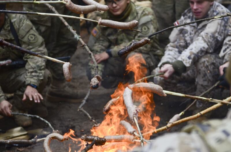 Saltpeter for sex drives, and the urban legend of the military’s libido ...